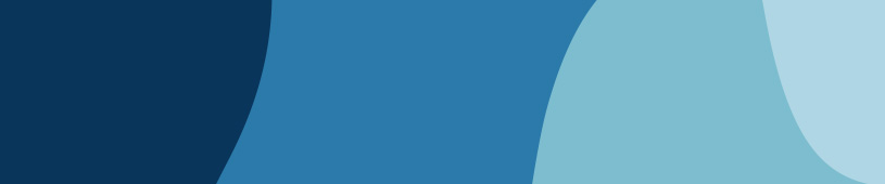 Power of Attorney Brochure - Legal Services Commission of SA